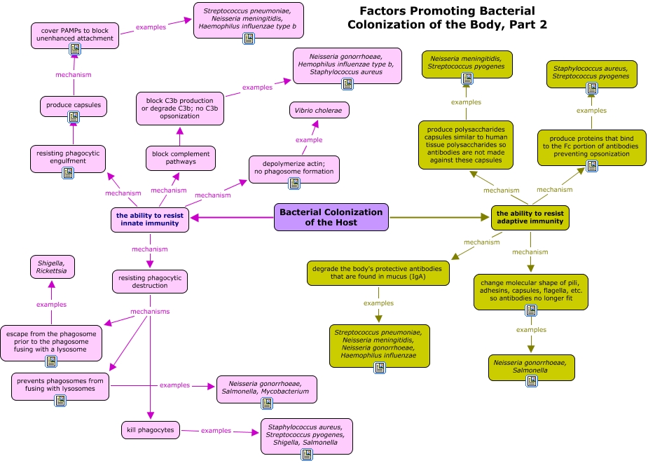 Answers_Colonization_part2.html